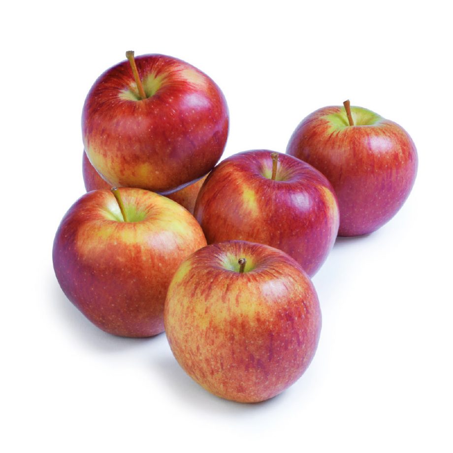 Apples Cox – Bloom & Veg