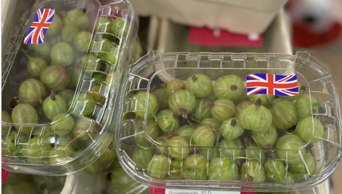 Gooseberry Punnet – Bloom & Veg