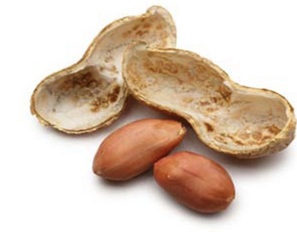 Monkey Nuts – Bloom & Veg